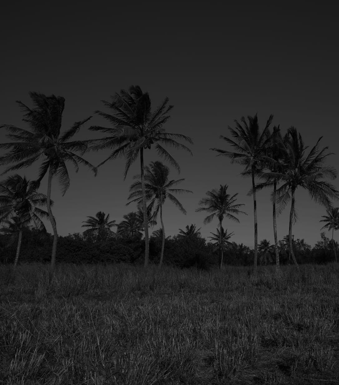 Creative Developer | Sam Goddard